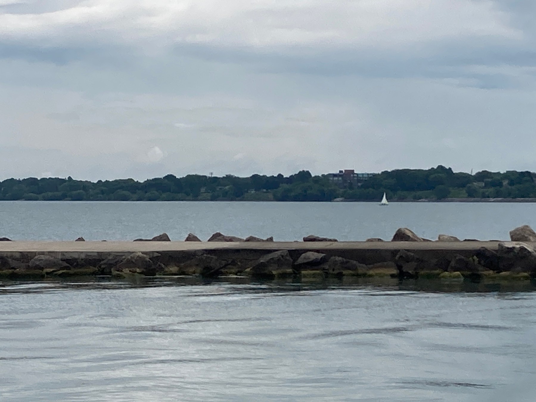 Progarchy – Rockin' Republic of Prog